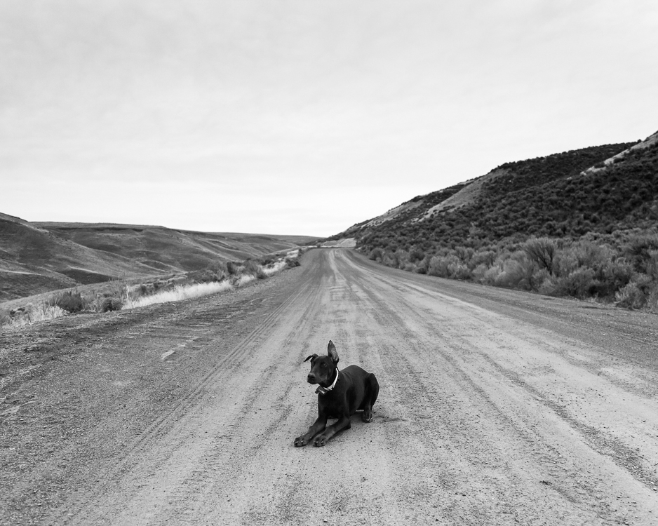 Artist Detail - Photolucida