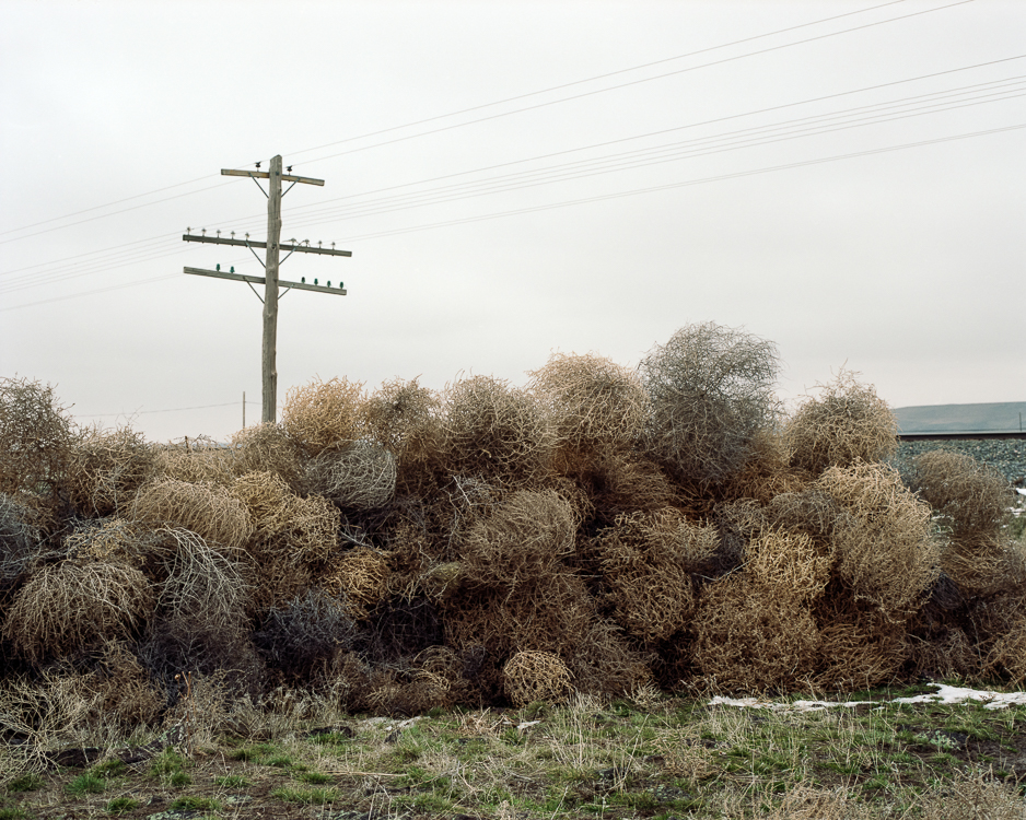 Artist Detail - Photolucida