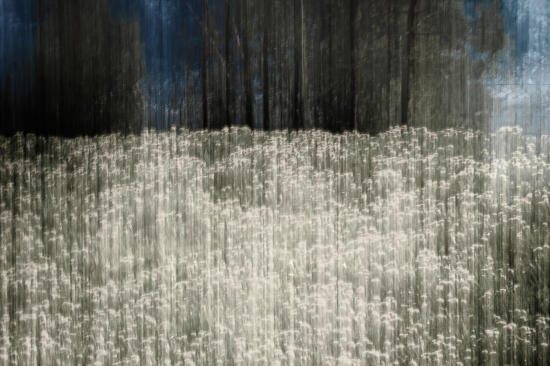 Remembering Stephen Starkman - Photolucida